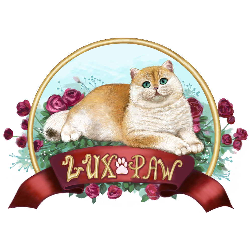 Main - LUX Paw Cattery BritishShorthair / BritishLonghair